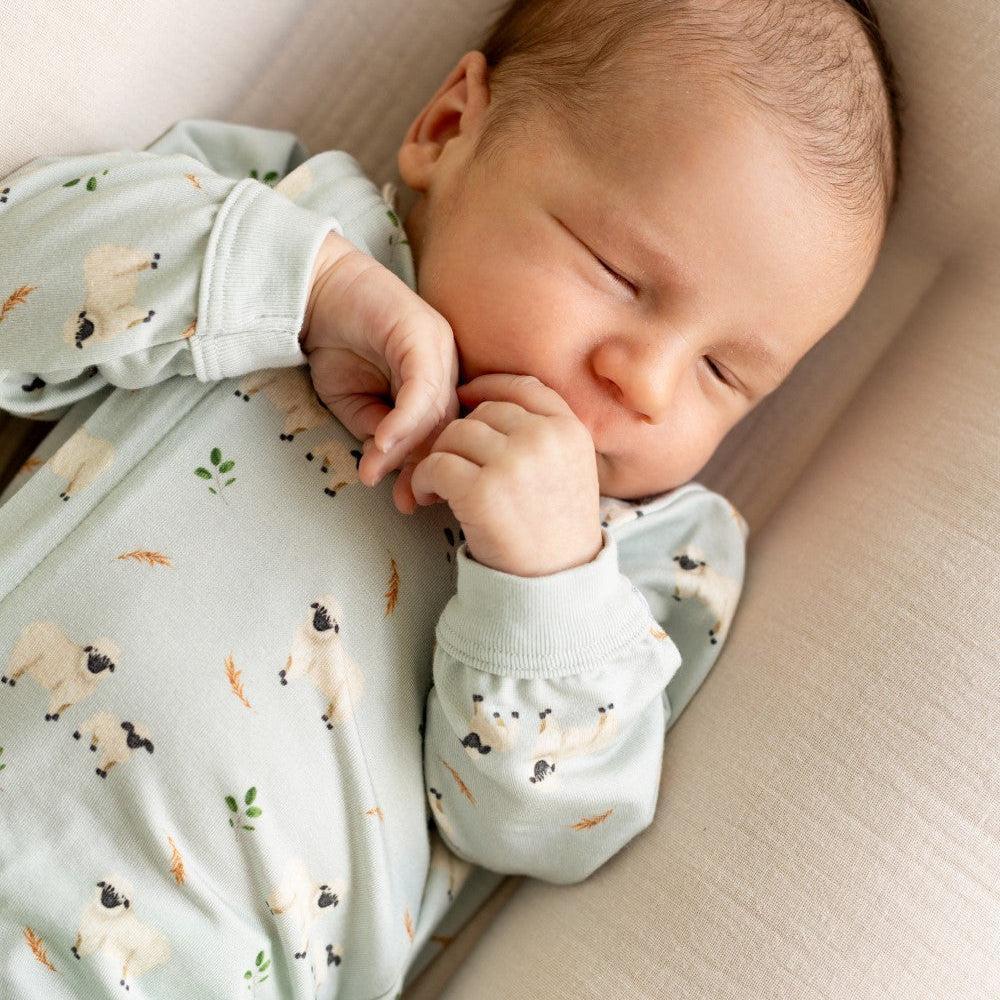 Coccoli - Modal 2-Way Zipper Footie - Sheep only $39.95 and TAX FREE ...